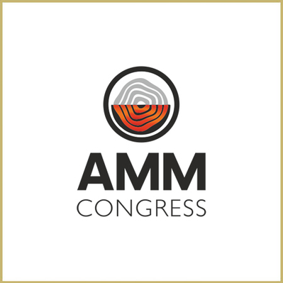 AMM 2024 - International "Astana Mining & Metallurgy" Congress | Plant ...