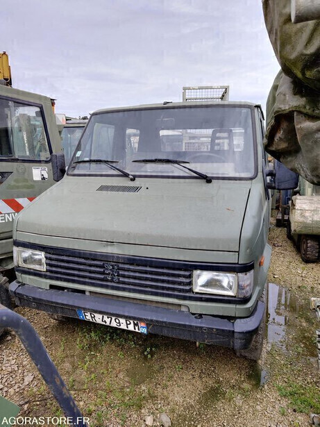 1995 Peugeot J5 (1044782) | P&E